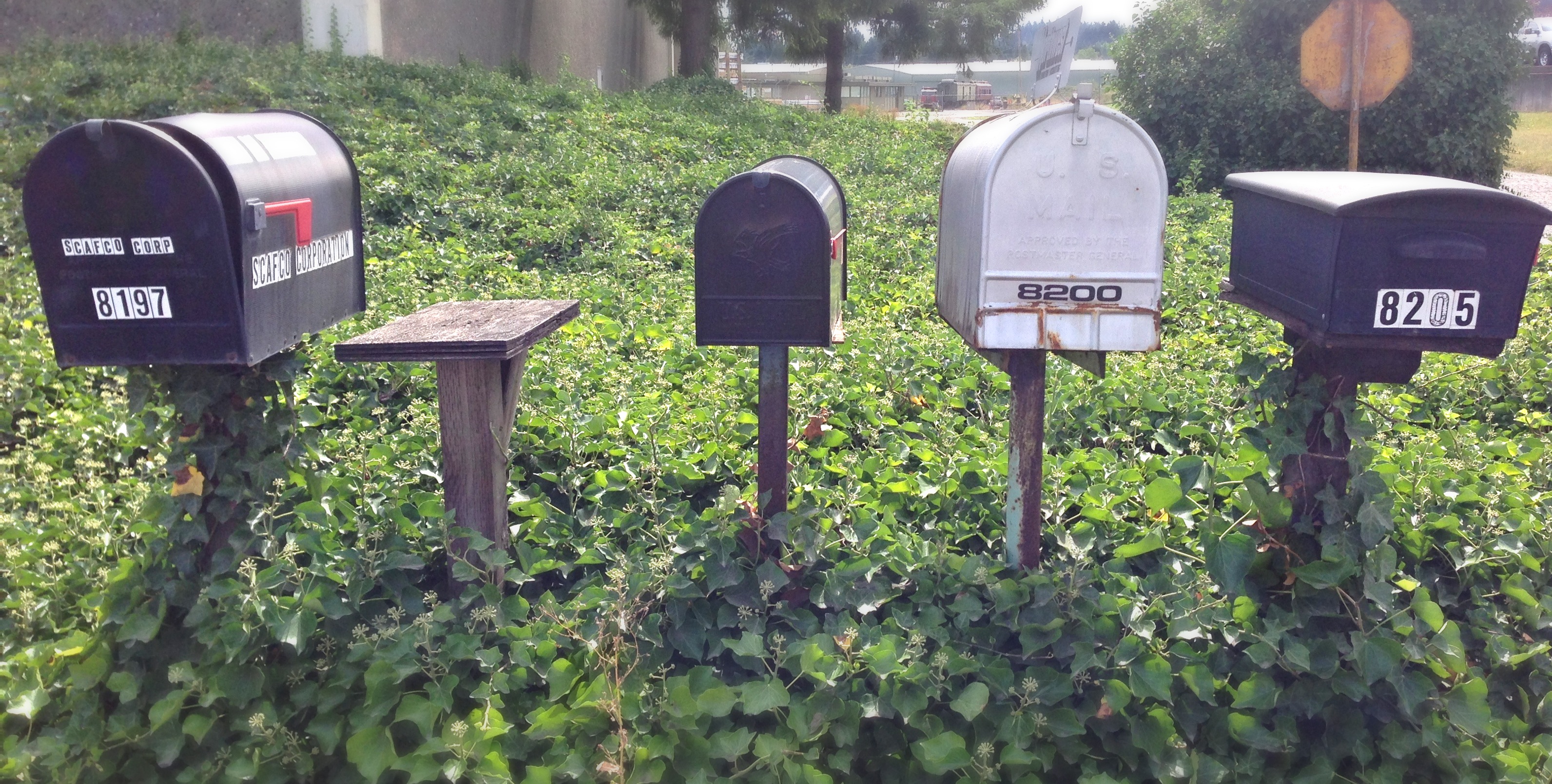 Counting your inboxes - The Occasional BlogThe Occasional Blog